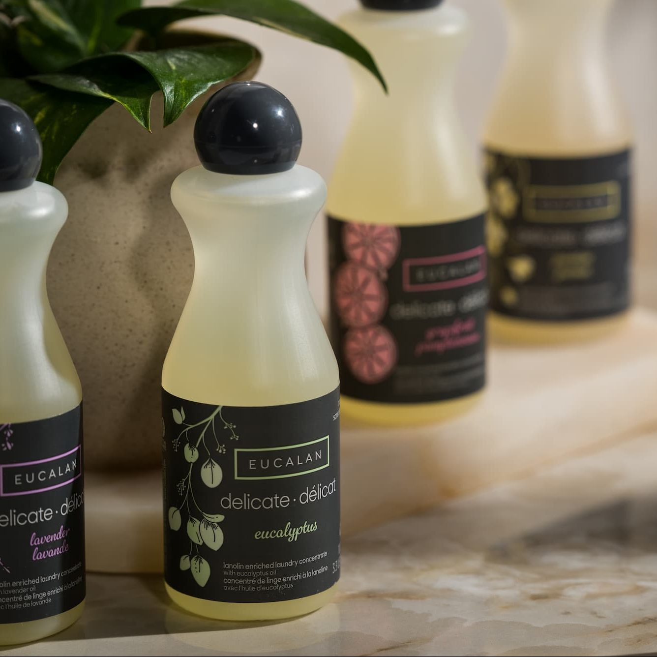 Eucalan Wool Wash 100ml – Loopine Wool Co